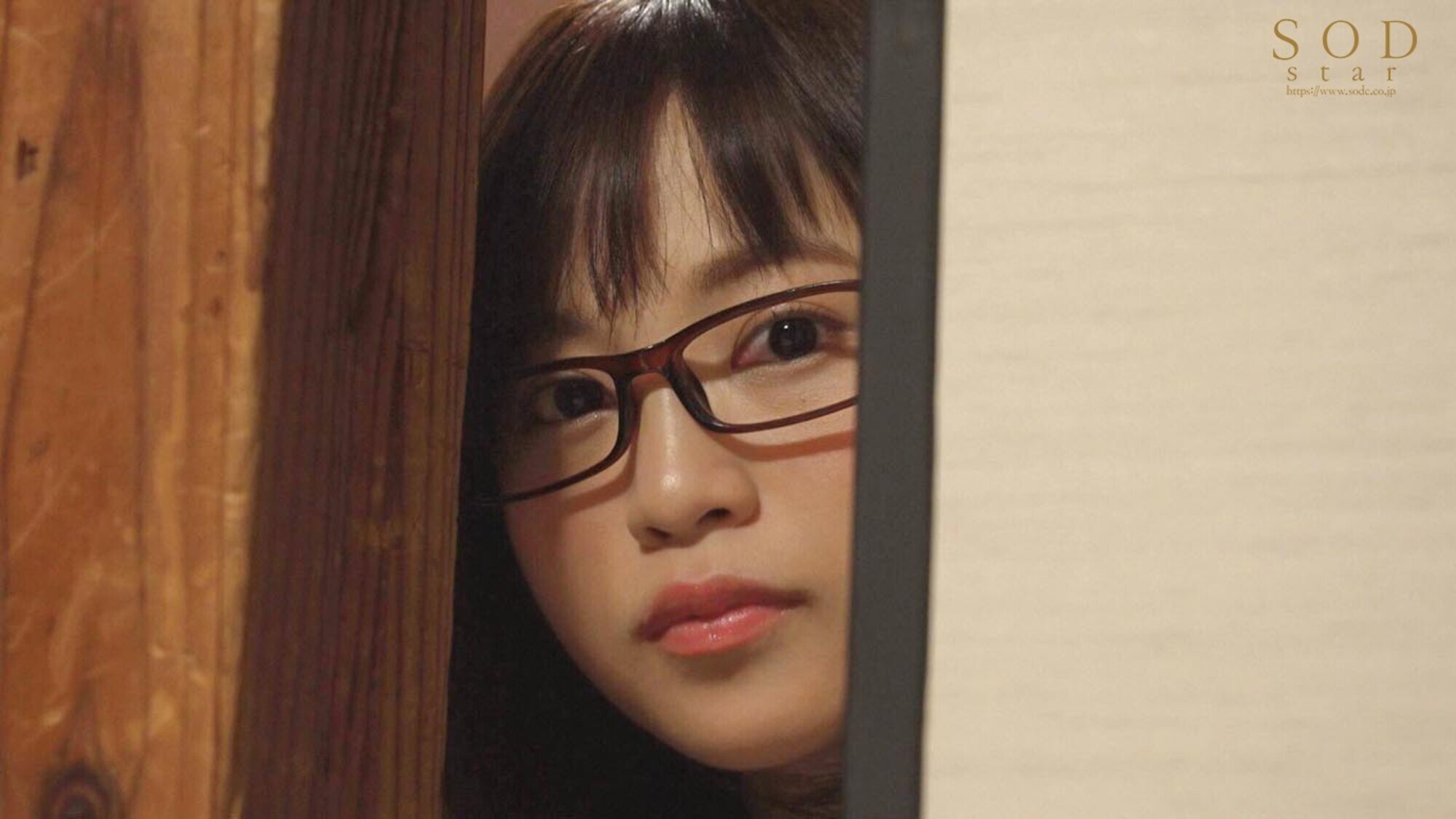 数年ぶりに帰省すると、アラサーの姉は未だに自称家事手伝い(ニート)の喪女だった。 隠れ巨乳の姉(26) 天宮花南 アダルト動画 ソクミル